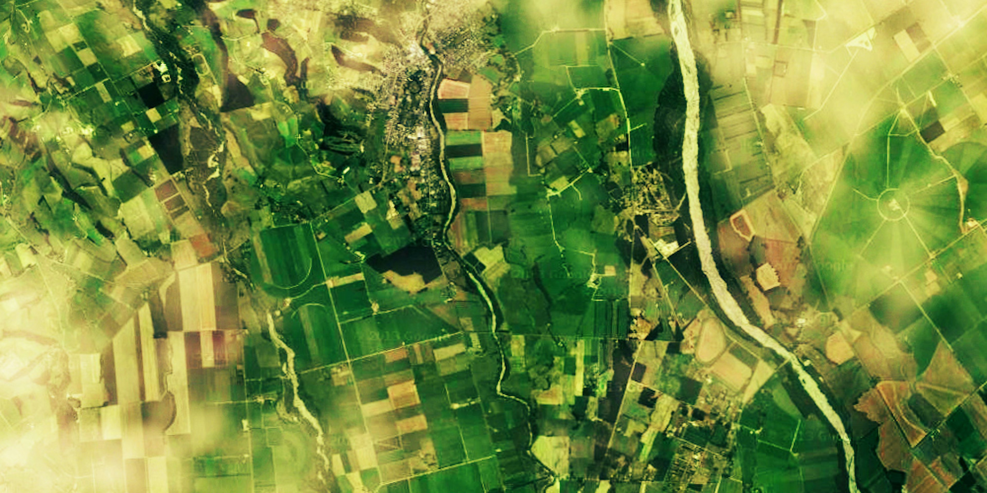 THE GIANT MAP | THE GUILD